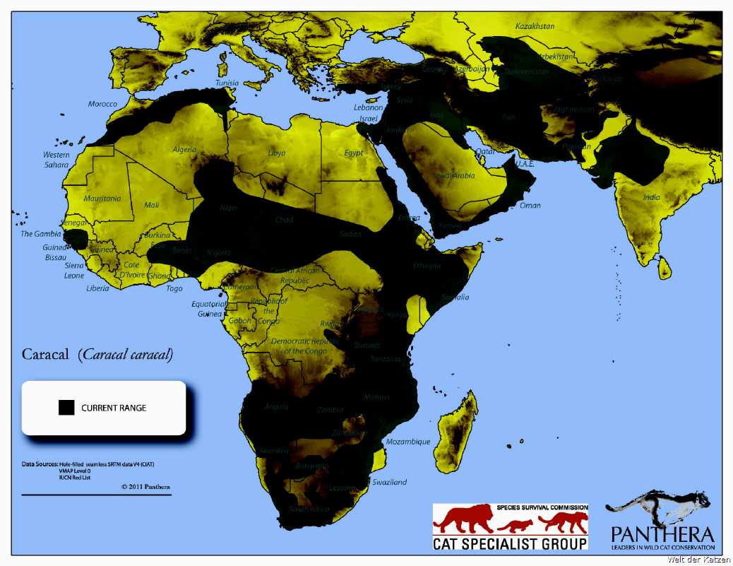 Der Karakal | Verbreitung
